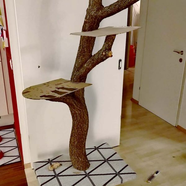 Kratzbaum Aus Baumstamm